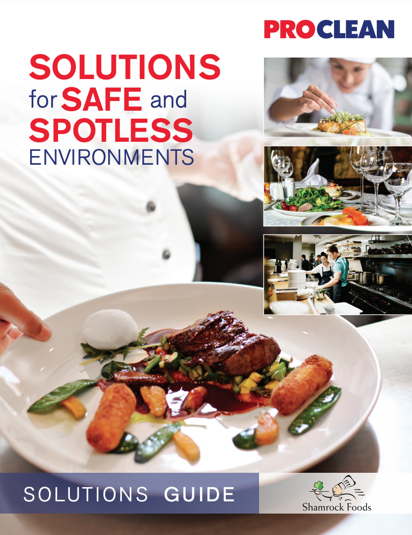 ProClean Solutions Guide